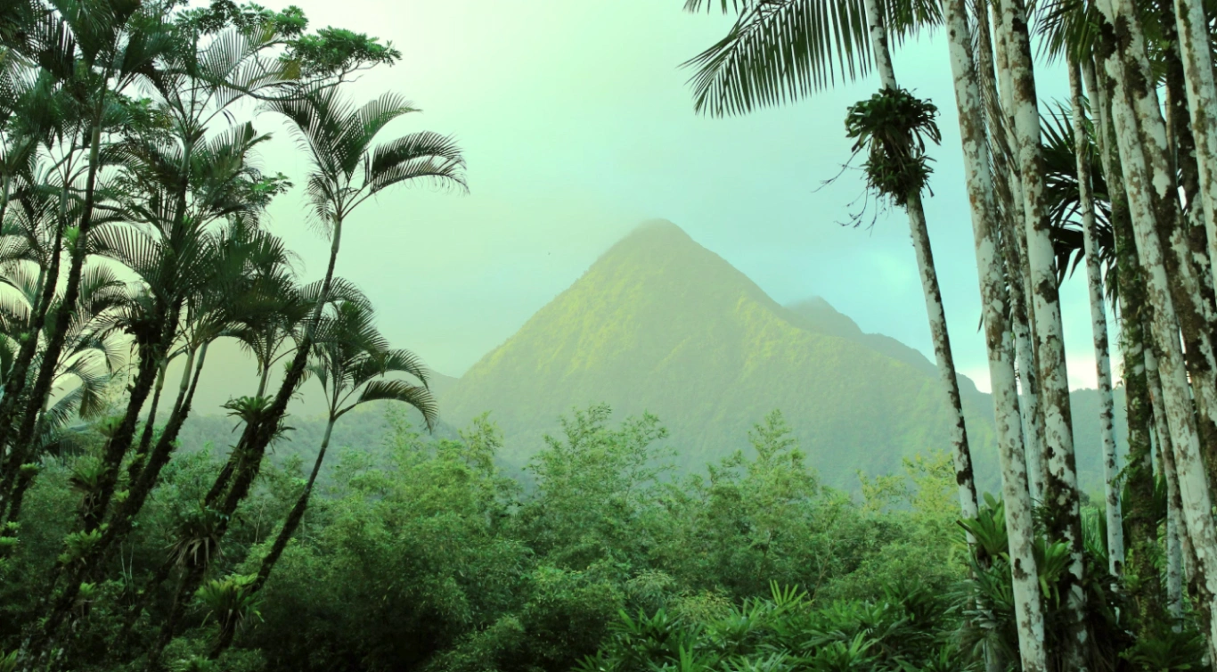 Conoce Cacao Sampaka | Cacao Sampaka